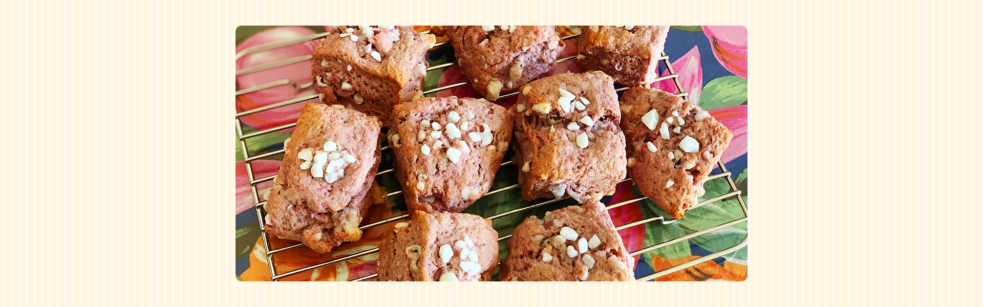 COCORU（ココル）｜こだわりの素材を使用した安心・安全の国産パン